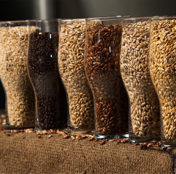 Malted Rye for Brewing | Malted Barley | Soft White Wheat
